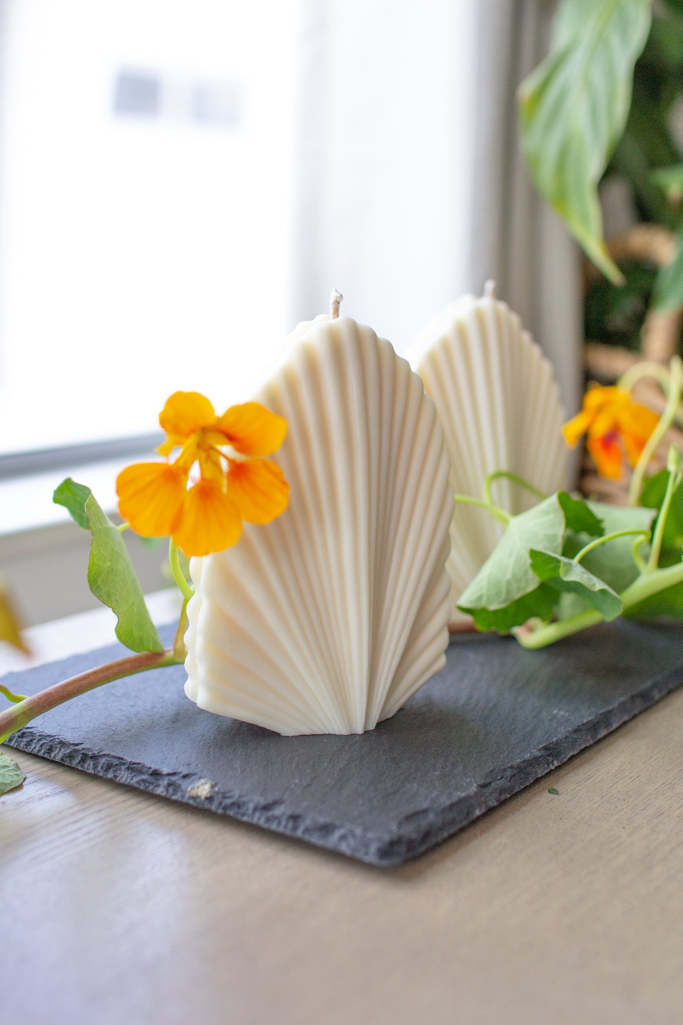 Shelly Shell-Shaped Candle | Handmade, Vegan Soy Wax, Unscented | Koa ...