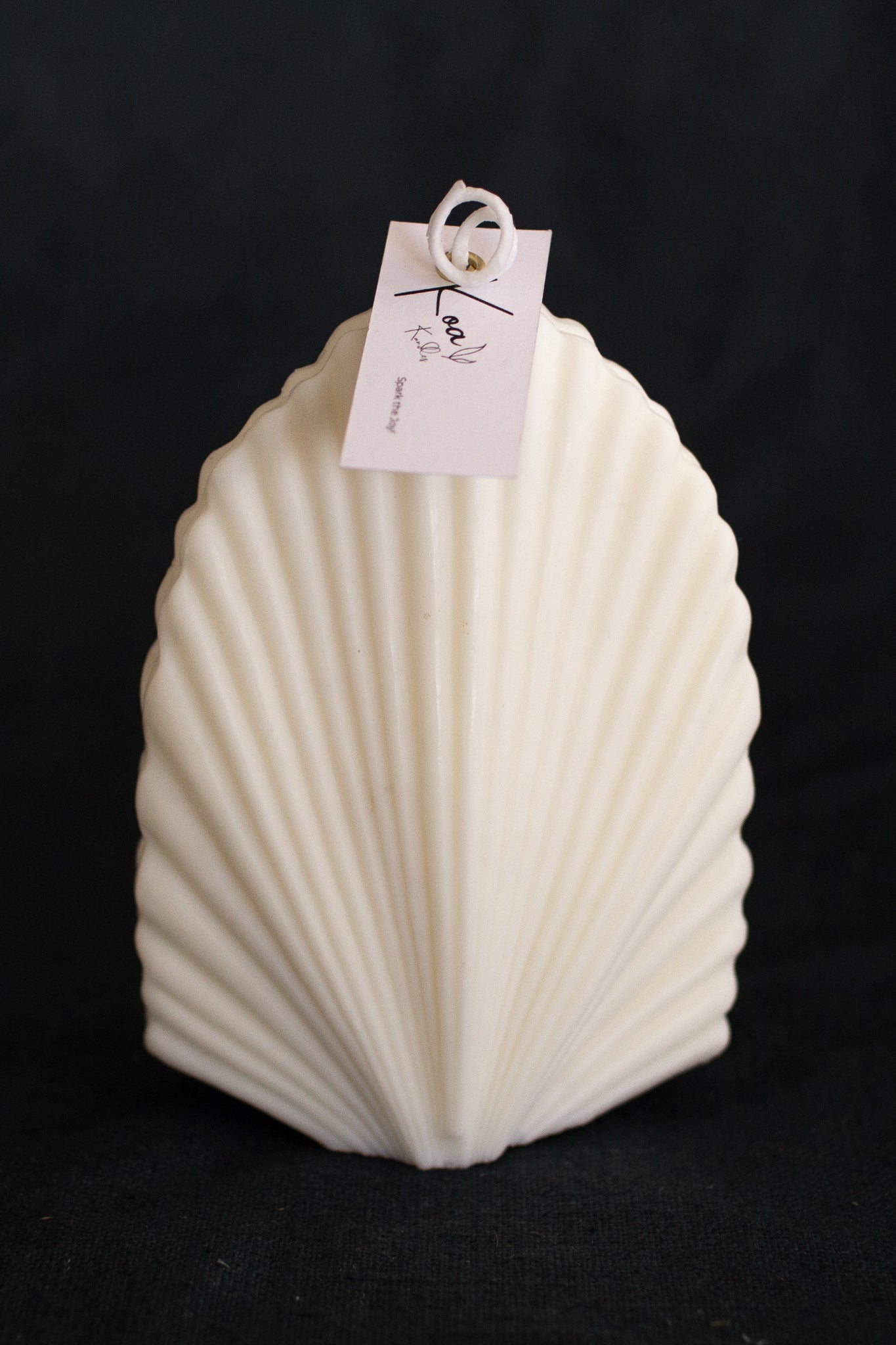Shelly Shell-Shaped Candle | Handmade, Vegan Soy Wax, Unscented | Koa ...