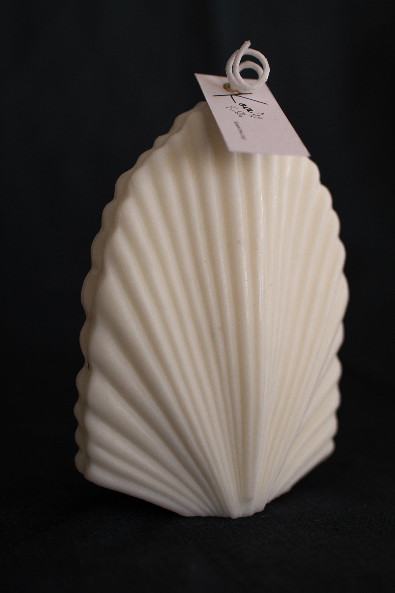 Shelly Shell-Shaped Candle | Handmade, Vegan Soy Wax, Unscented | Koa ...