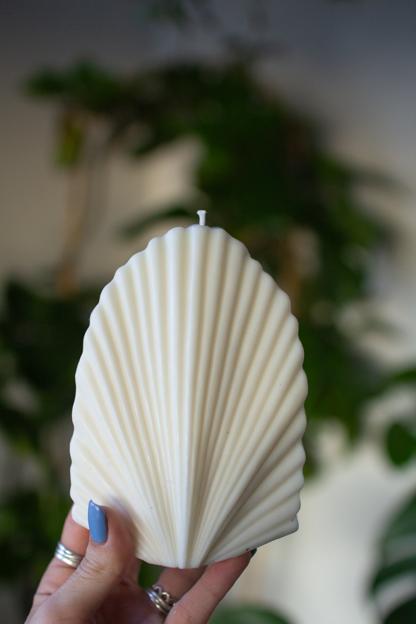 Shelly Shell-Shaped Candle | Handmade, Vegan Soy Wax, Unscented | Koa ...