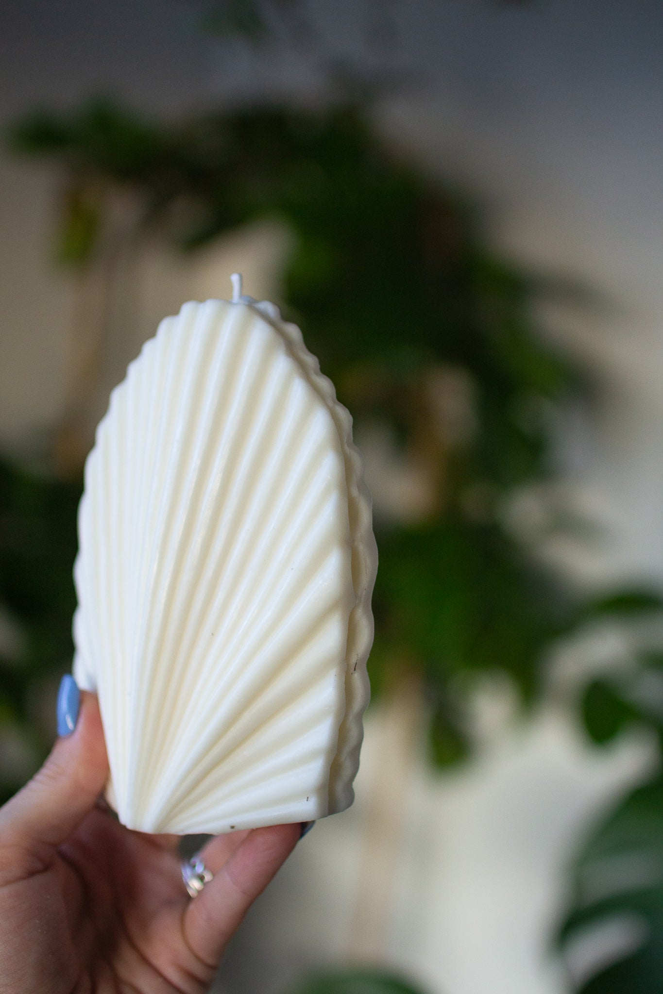 Shelly Shell-Shaped Candle | Handmade, Vegan Soy Wax, Unscented | Koa ...